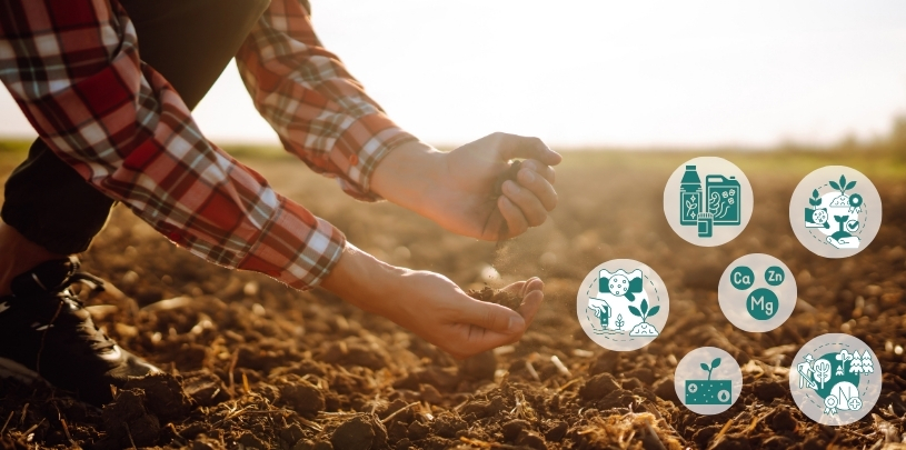 Soil Amendments for Enhanced Soil Structure and Fertility