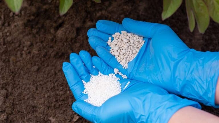 What Are the Types of Fertilizers? Types of Fertilizers