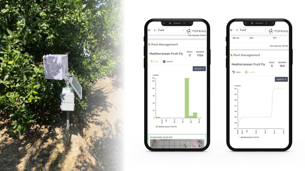 Natural Methods for Controlling the Mediterranean Fruit Fly