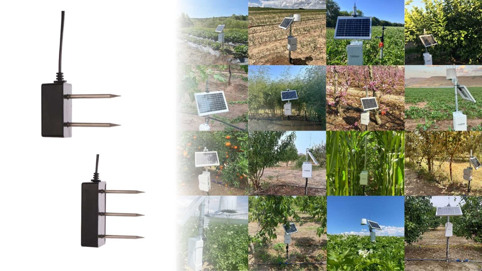 Smart Soil Moisture Sensors for Efficient Irrigation